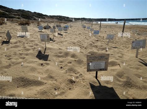 Protected Area Around Turtle Nest Sites At Lara Beach On The Akamas Peninsula Republic Of