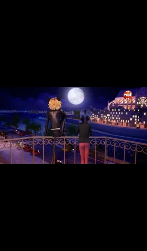 Pin En Ladybug And Chat Noir