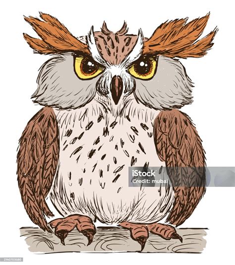 올빼미 새 만화 귀여운 재미 하나 손으로 그린 벡터 일러스트 레이 션 흰색 절연 가공의 인물에 대한 스톡 벡터 아트 및 기타