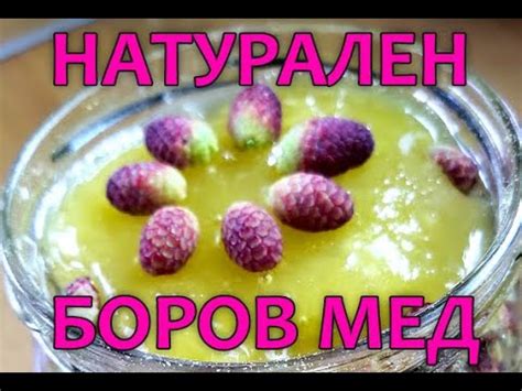 Боров мед от борови връхчета или шишарки с Пчелен Мед, без нагряване ...