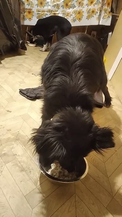 Мама с дочей кушают Youtube