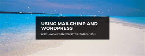 How To Integrate MailChimp And WordPress For The Pros