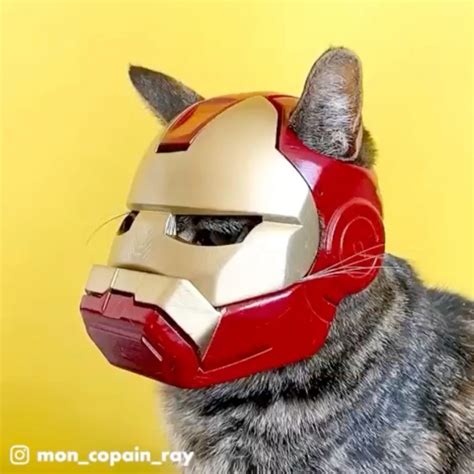 Saurabh Tripathi Posted On Linkedin