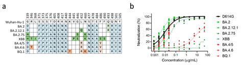 Deep Mutational Scanning To Predict Escape From Bebtelovimab In Sars