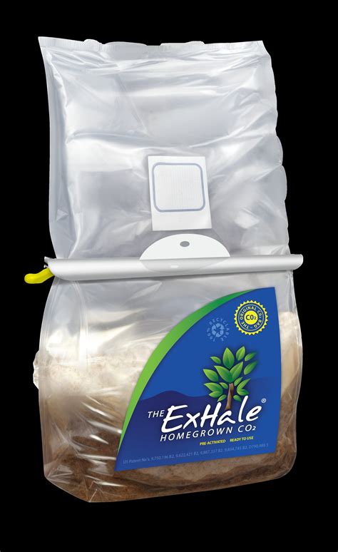 Exhale Co2 Bag Rooted Intellect
