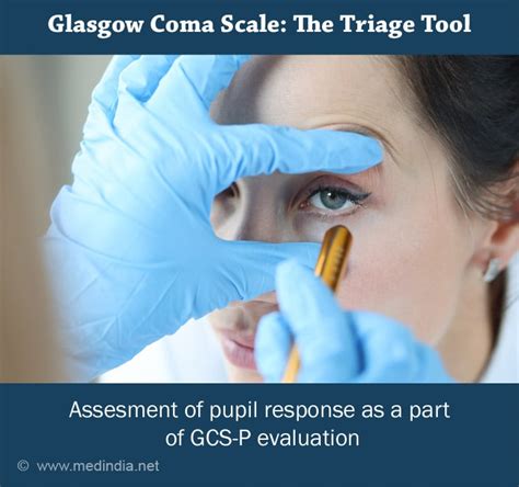 Glasgow Coma Scale GCS The Neurological Assessment Tool
