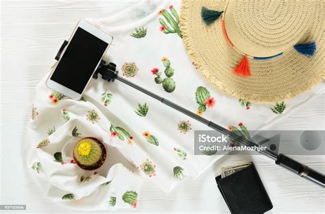 세트 여자 의류 액세서리 와 나무 배경에 라이브 선인장 패션의 상에 쇼핑 여행 개념입니다 플랫이 하다 봄 여름 컬렉션 Monopod에 대한 스톡 사진 및 기타 이미지