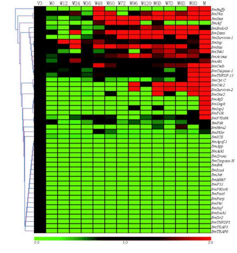 microarray analysis of the expression of the putative silkworm