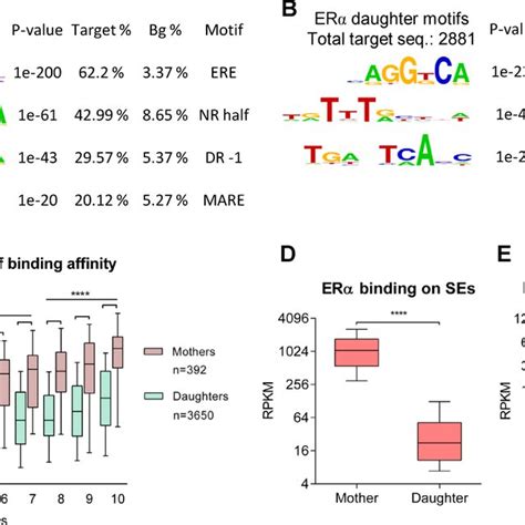 Canonical Elements Provide Higher Dna Binding Affinity Than