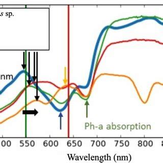Evolution Of Reflectance Peak In The Green Band And Phycocyanin And