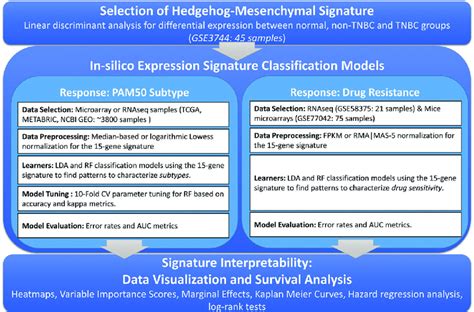 General Analysis Framework Overview Of Processed Data Methods