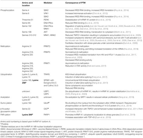 Frontiers A Comprehensive Analysis Of The Role Of Hnrnp A1 Function And Dysfunction In The