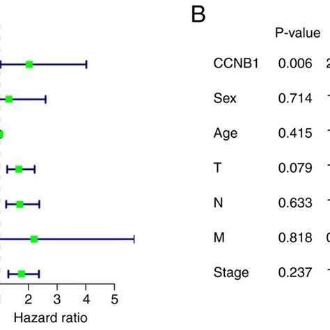 Univariate And Multivariate Cox Analysis Of Os In 94 Patients With Lung