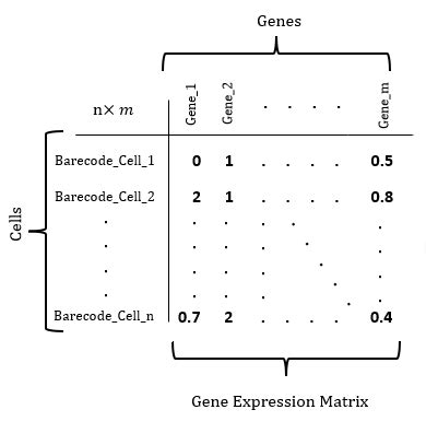 Deep Learning For Single Cell Sequencing A Microscope To See The