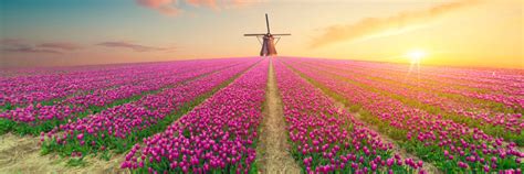8 Top Rated Tourist Attractions In The Netherlands Yolcu360 Blog