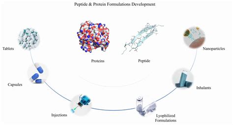 Peptides And Proteins Delivery System Development Cd Formulation
