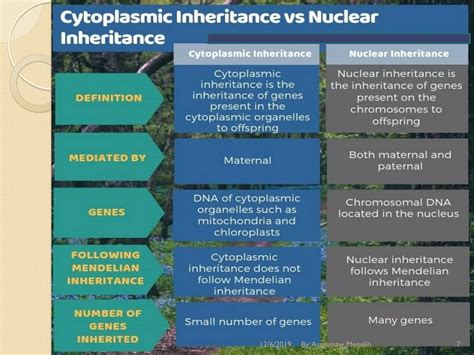 Cytoplasmic Inheritance And Maternal Effect Pdf Biological Sciences Science