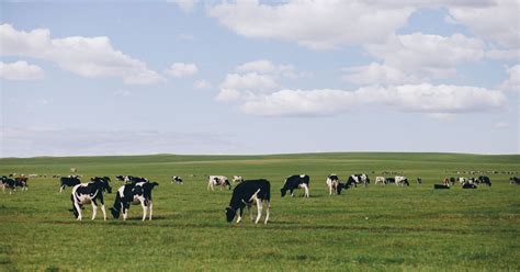 Methanes Global Warming Potential Bcg