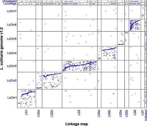 Dot Plot Representing Marker Collinearity Between The Lentil V12