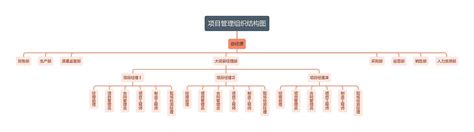 项目管理组织结构图思维导图 编号p730001 Treemind树图