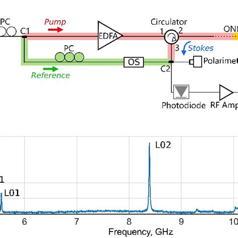 A Schematic Illustration Of The Polarization Sensitive Bs Detection