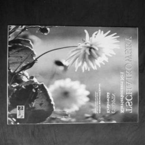 Books Detection Object Detection Model By Raghebws