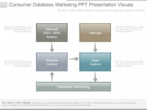 Consumer Database Marketing Ppt Presentation Visuals