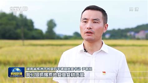 在习近平新时代中国特色社会主义思想指引下丨夯实大国粮仓根基 要闻 安徽财经网