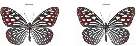 Opencv Python——第27章：surf特征点提取算法opencv Surf提取体征点 Csdn博客