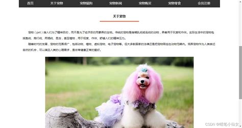 40 web前端网页制作 宠物主题网页设计实例 大学生期末大作业 html css web宠物服务电商平台大作业 csdn博客