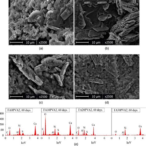 a SEM images at 60 days for p b ¼ 2 and FA c 0 100 b SEM images Download Scientific