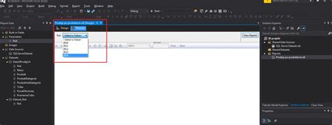 Ssrs Tutorial Part 5 Configuring Parameterfilter In Ssrs Reporting Services Jan Zedníček