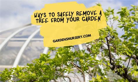 Ways To Safely Remove A Tree From Your Garden