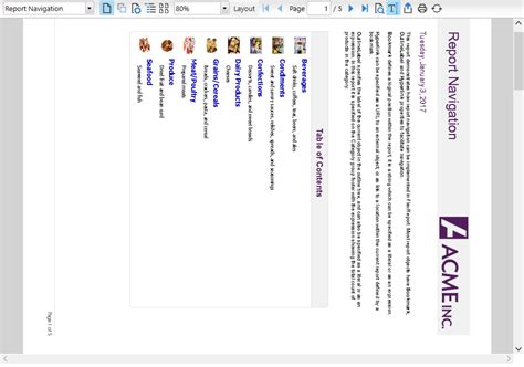 Introducing FlexViewer A WPF Report Viewer