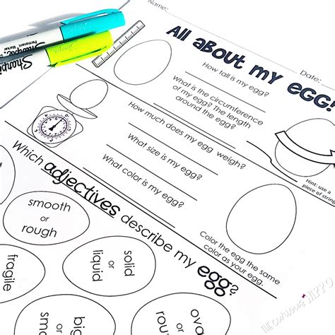 Egg Experiments Classful