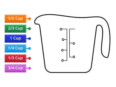 Label The Liquid Measuring Cup Labelled Diagram