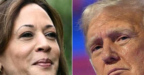 Chi Vince Le Elezioni Usa 2024 Quando E A Che Ora Si Sapranno I