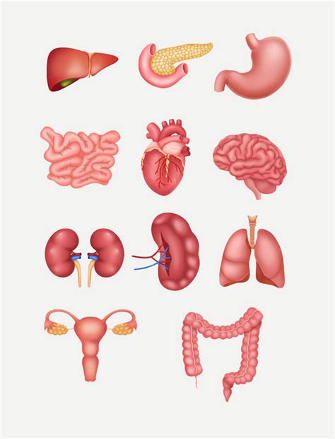 医学头部图片 医学头部素材 医学头部图片素材下载 潮国创意