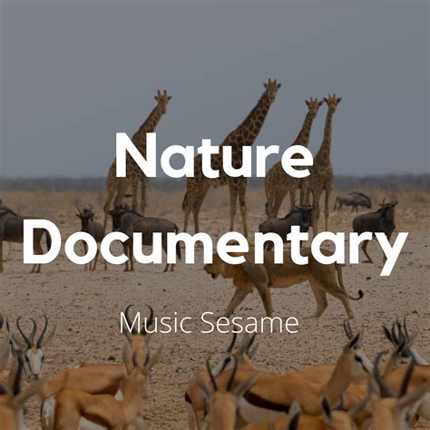 Nature Documentary Stock Music Lifetime Royalty Free Music Subscription
