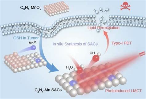 Tumor Activated In Situ Synthesis Of Single Atom Catalysts For O2