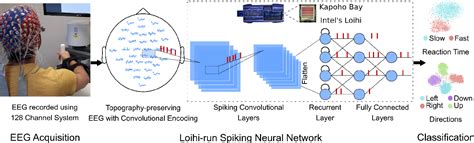 Figure 1 From Decoding Eeg With Spiking Neural Networks On Neuromorphic