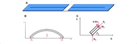 A Sketch Of An Inchworm Inspired Soft Crawling Robot Force Download Scientific Diagram