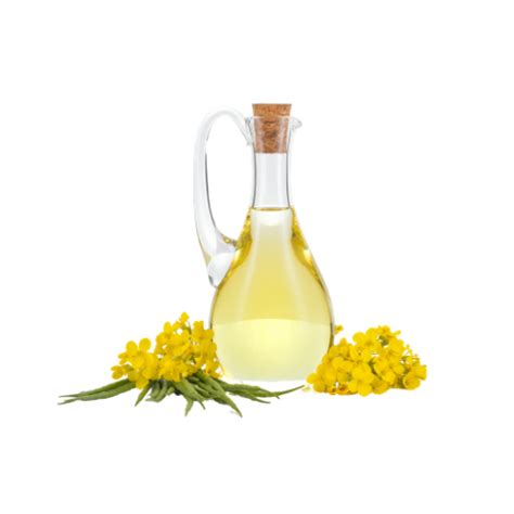 Вега рапсовое масло и жмых