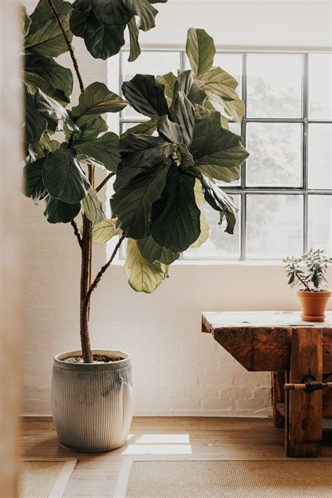 Tieja Maclaughlin Public Relations Crisis Management And Brand Consultant Toronto Canada