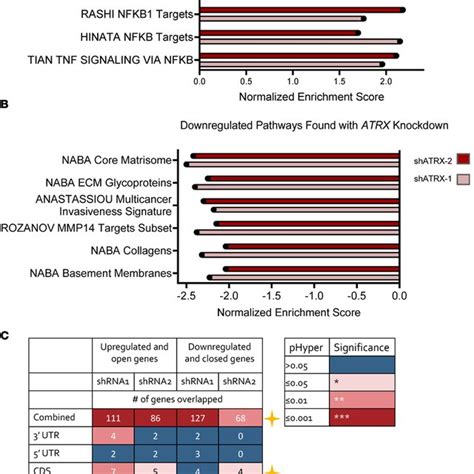 Rna Seq Identifies Upregulation Of Several Nf κb Pathways And Download Scientific Diagram