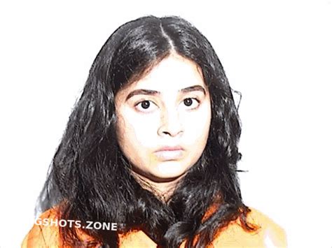 Ahmed Simrah 08142023 Lucas County Mugshots Zone