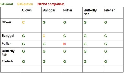 Compatibility Chart Research Classroom Coral
