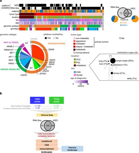Series Description And Study Workflow A Characteristics Of The Cnio