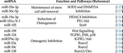 summary of mirna implicated in msc and skeletal tissue aging and
