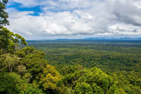 Guyana Where Rainforest Meets Savanna Southcentral America Inc